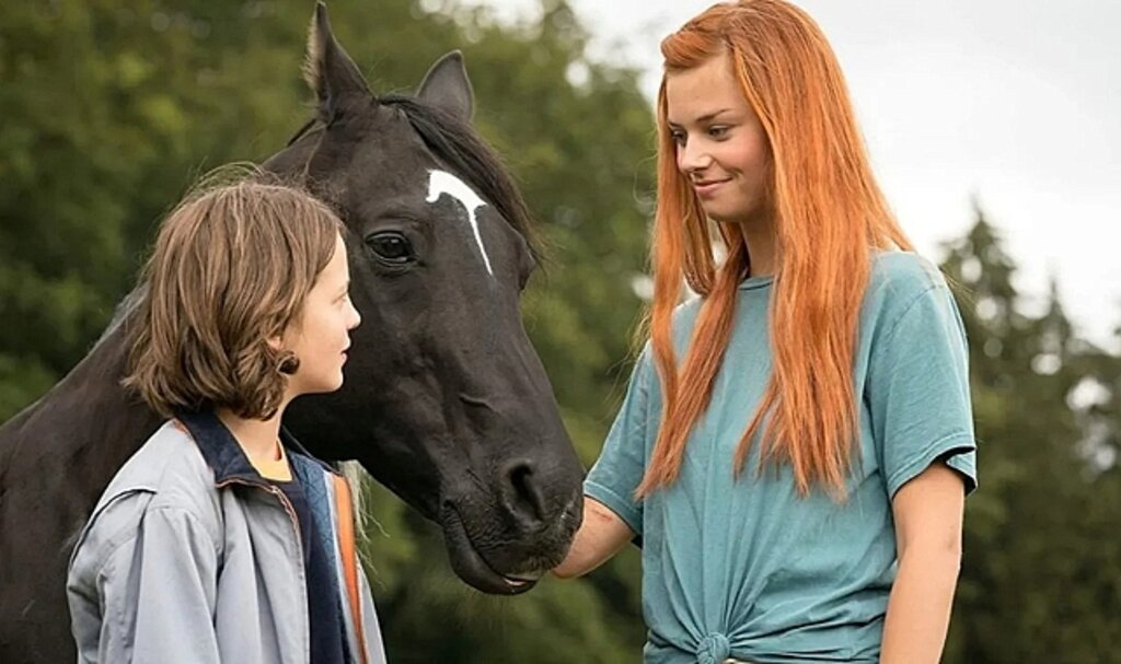 Windstorm 4:Ari'nin Gelişi filminin konusu nedir? Windstorm 4:Ari'nin ...